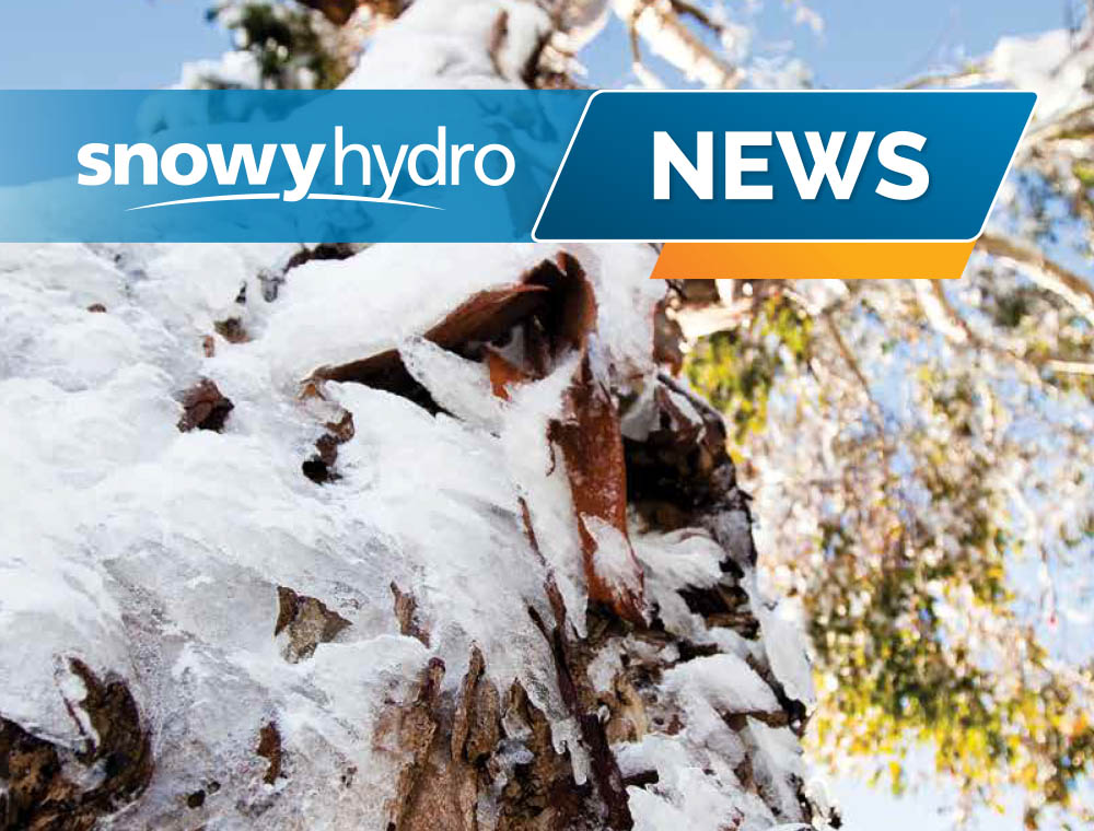 Newsletters - Snowy Hydro
